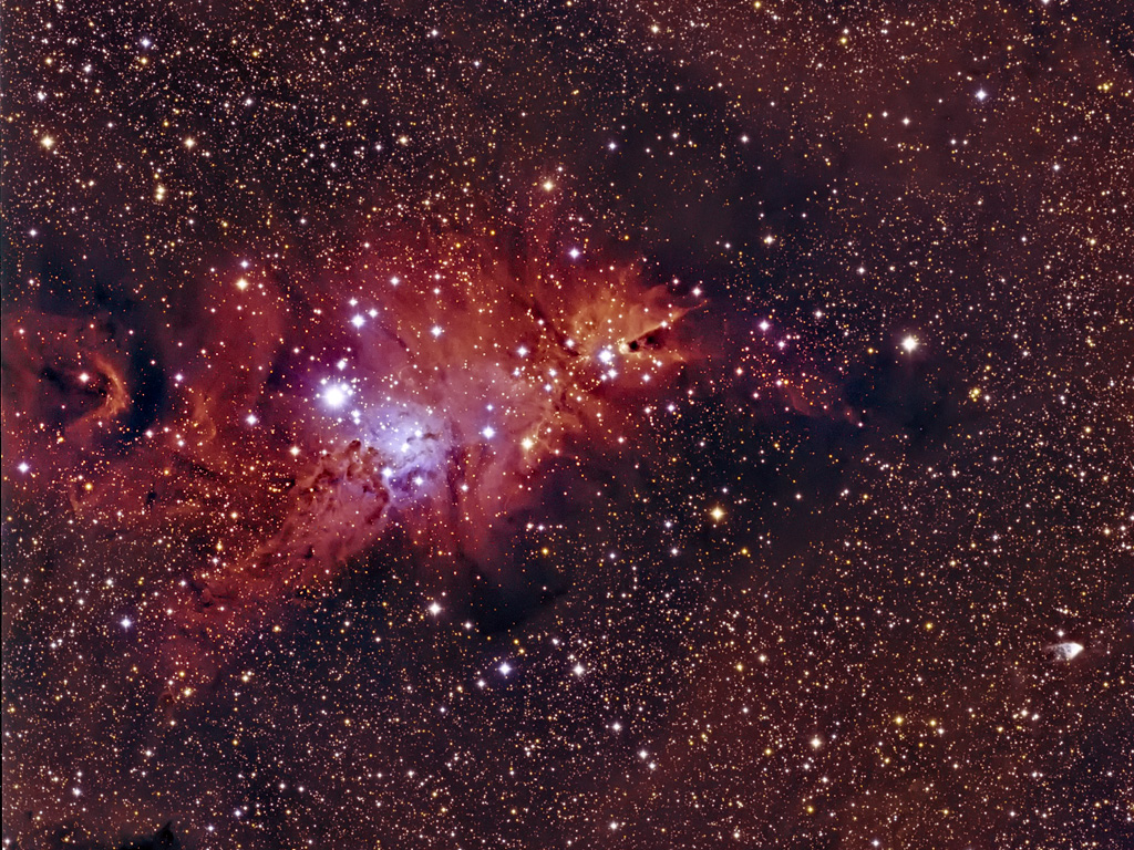 Christmas Tree Nebula